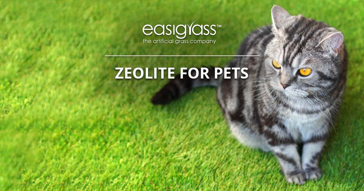 Zeolite Artificial Grass Infill For Pets | Easigrass Dubai